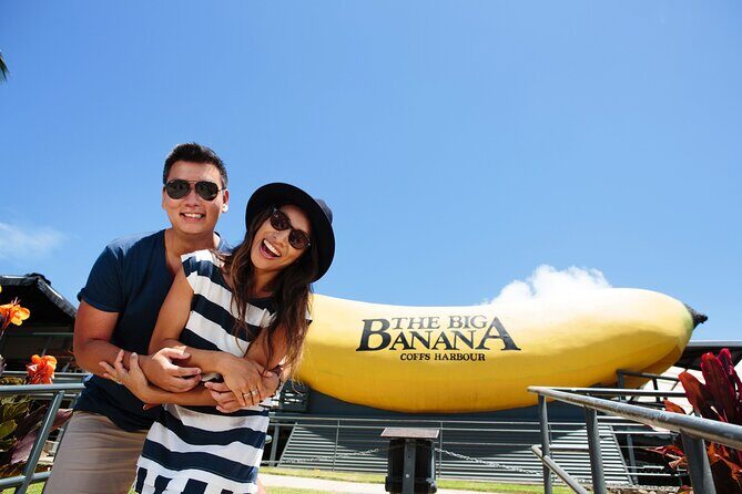 Sydney to Byron Bay Pacific Coast Road Trip - Transportation and Comfort