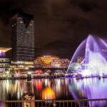 Sydney: Vivid Festival of Light Harbor Cruise with Dinner - The Experience in Detail