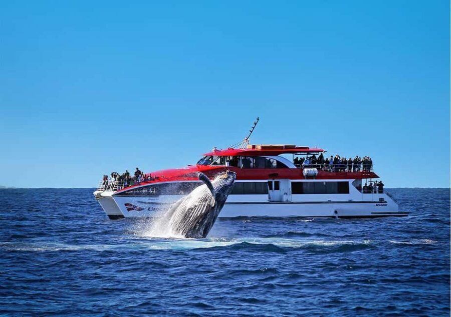 Sydney: Whale Watching Cruise and Taronga Zoo Package - Who Will Love This Tour?