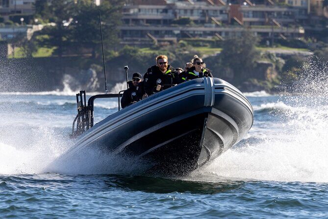 Sydney Whale Watching on Small RIB - Authentic Experiences from Fellow Travelers