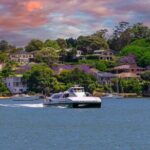 Sydney Wild Kangaroos and a Cruise: A Private Wildlife Adventure - Frequently Asked Questions