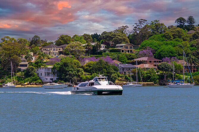 Sydney Wild Kangaroos and a Cruise: A Private Wildlife Adventure - Frequently Asked Questions