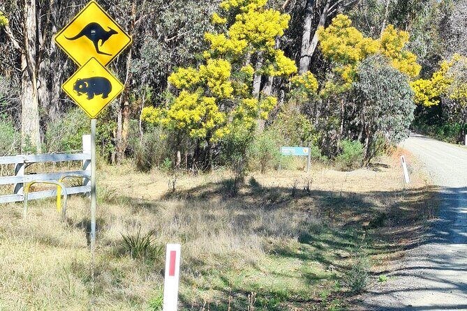 Sydney Wildlife Safari - The Sum Up