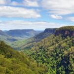 Sydney: Wildlife, Waterfalls and Wine Small Group Tour - The Value and Practical Considerations