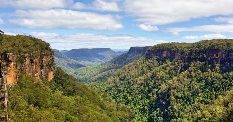 Sydney: Wildlife, Waterfalls and Wine Small Group Tour - The Value and Practical Considerations