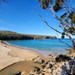 Sydney Woollongong and Kiama tour (Private) - In-Depth Breakdown of the Itinerary