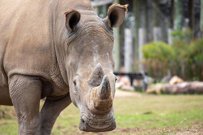 Sydney Zoo General Entry Admission Ticket - Frequently Asked Questions