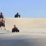Sydney:Dolphin Watching and Sandboarding in Port Stephens - The Itinerary: From Sydney to Scenery and Sea Life