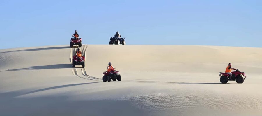 Sydney:Dolphin Watching and Sandboarding in Port Stephens - The Itinerary: From Sydney to Scenery and Sea Life