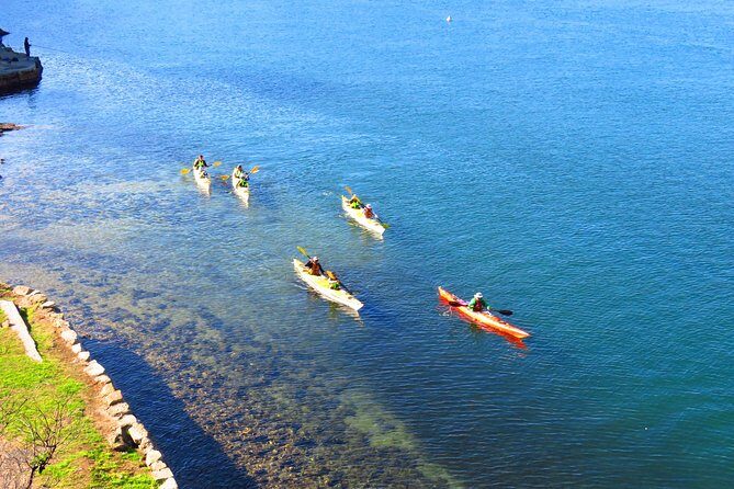 Sydney's Middle Harbour Sea Kayaking Eco Tour (Fully Guided) - Why This Experience Offers Great Value