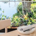 Sydney's Royal Botanic Gardens Luke Nguyen Tasting Menu - Who Will Love This Experience?