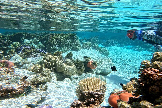 Tahaa Excursion in Electric Paddle Snorkeling Coral Garden - Who Will Love This Tour?
