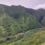Tahiti Fautaua Valley and Big Waterfall Private Hiking Tour - What’s Included and What to Bring