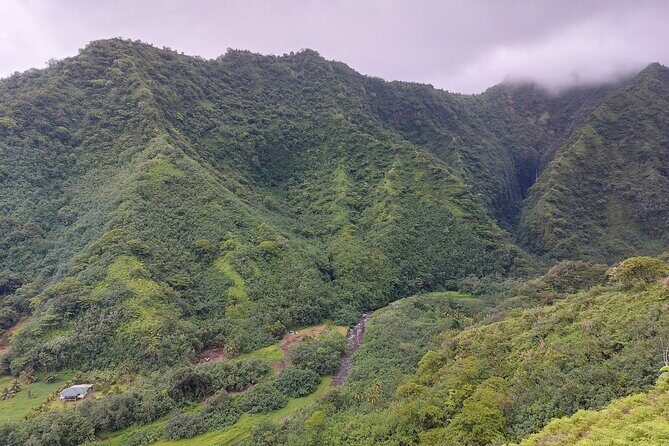 Tahiti Fautaua Valley and Big Waterfall Private Hiking Tour - What’s Included and What to Bring