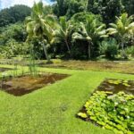 Tahiti Full Day Private Coastal Tour - A Closer Look at the Itinerary