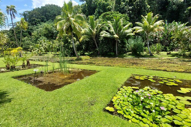 Tahiti Full Day Private Coastal Tour - A Closer Look at the Itinerary