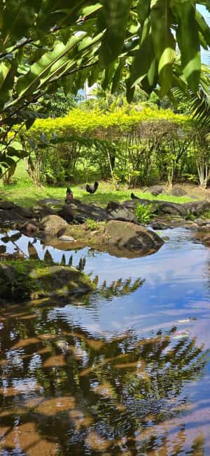 Tahiti: Private Half Day Culture and Nature Highlights Tour - Final thoughts