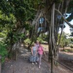 Tahiti Private Half Day Tour. Nature, history and culture - The Experience in Practice: What’s Included and How It Matters