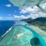 Tahiti: Tour of the island with Taxi Boat and flyover by private plane - Who Should Consider This Tour?