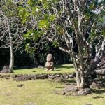 Tahiti's West Coast Private 4 hour Tour with Lydia, - What’s Included and What You Should Consider