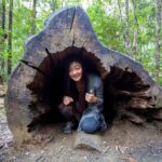 Tahune Airwalk & Hastings Cave Active Day Tour from Hobart - What to Expect and Practical Tips