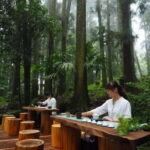 Taichung: Alishan National Scenic Area and Fenqihu Tour - What’s Included and What to Keep in Mind