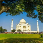 Taj Mahal, Agra Fort & Elephant Conservation Tour from Delhi - An In-Depth Look at the Tour