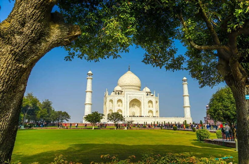 Taj Mahal, Agra Fort & Elephant Conservation Tour from Delhi - An In-Depth Look at the Tour