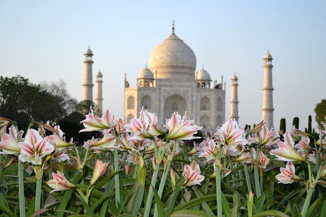 Taj Mahal Sunrise and Agra Overnight Tour from Chennai - What This Tour Means for You