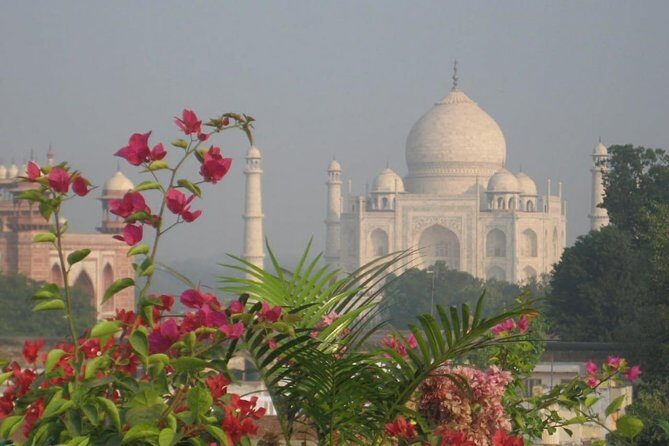 Taj Mahal tour with Elephant and Bear conservation center from Delhi - FAQs about the Tour