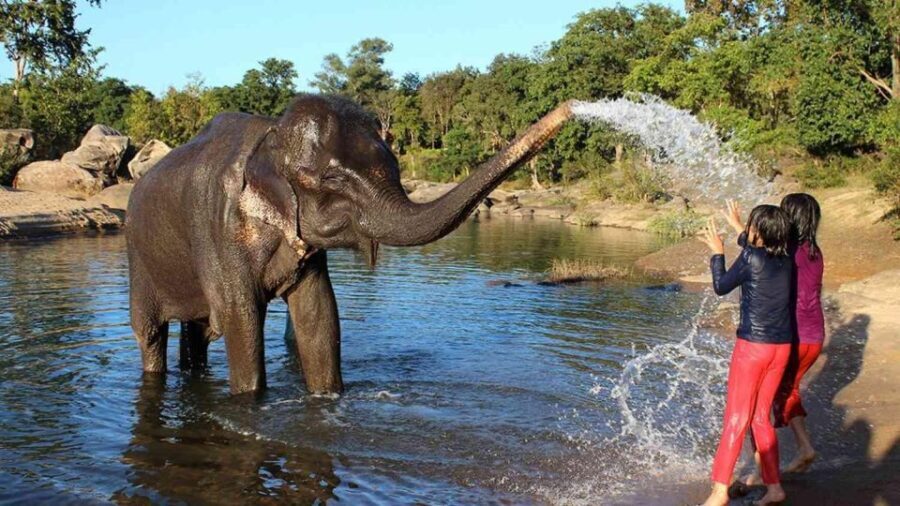 Taj Mahal Tour with Optional Wildlife Rescue Center Visit - The Itinerary Breakdown and What to Expect