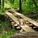 Takayama Autumn Private Tour Kamikochi & Shin-Hotaka Ropeway - Practical Tips for a Smooth Day