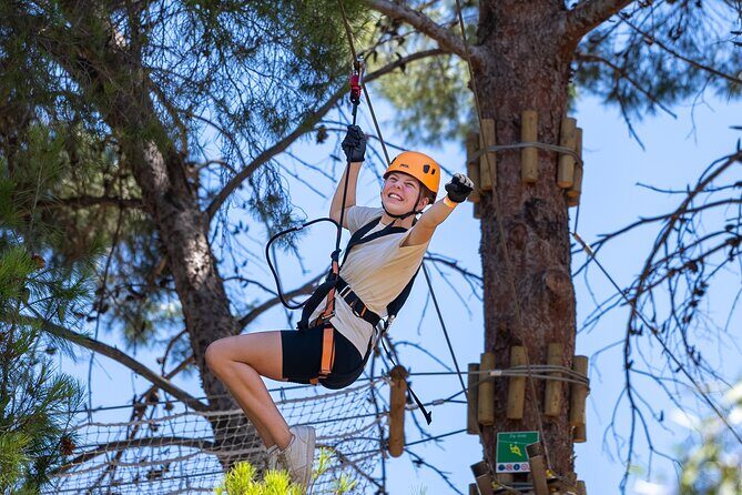 Take the Challenge and Conquer the Salisbury Treetops - What Travelers Say: Authentic Feedback