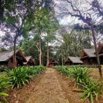 Taman Negara Rainforest Tour with Lata Berkoh Falls - What You Need to Know Before Booking