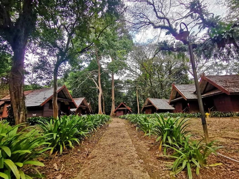 Taman Negara Rainforest Tour with Lata Berkoh Falls - What You Need to Know Before Booking