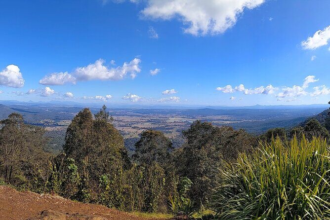 Tamborine Mountain and Paradise Point Tour from Brisbane - What’s Included and What’s Not