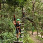 Tamborine Mountain: TreeTop Challenge Adrenaline Pass - The Zipline Experience: Soaring Over Rainforest Canopy