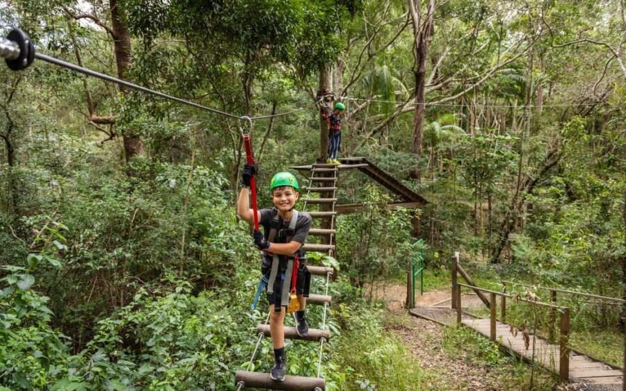 Tamborine Mountain: TreeTop Challenge Adrenaline Pass - The Zipline Experience: Soaring Over Rainforest Canopy