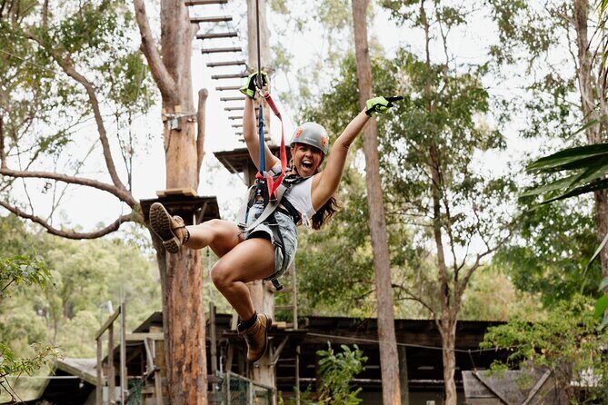 Tamborine Mountain TreeTop Challenge Adventure Park - Pricing and Value
