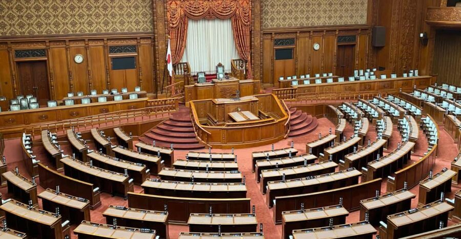 Tameike: Exploring the Heart of Japanese Politics Tour - Final Thoughts: Is This Tour Worth It?