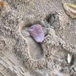 Tanoa Waterfront Hotel to Natadola Beach Round Trip - Who Will Love This Tour?