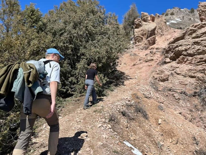 Tashkent Mountain tour - Authentic Experiences and Honest Insights