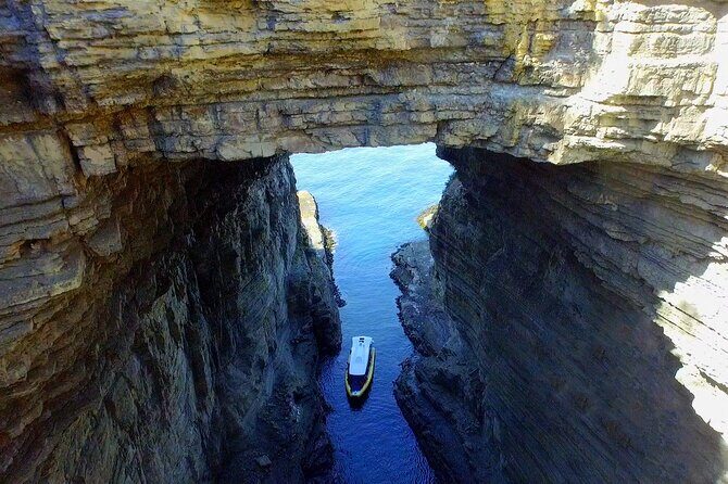 Tasman Island Cruises Day Tour from Hobart - Detailed Itinerary Breakdown