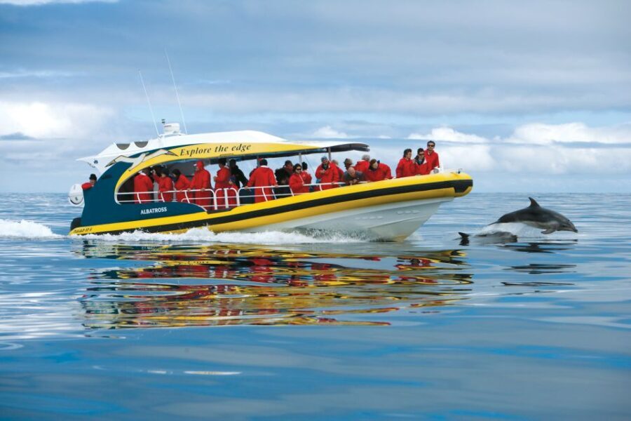 Tasman Peninsula Day Trip with Cruise & Devils from Hobart - The Wilderness Cruise: A Coastal Spectacle