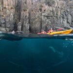 Tasman Peninsula full day kayaking tour - A Day Filled with Dramatic Coastline and Natural Wonders