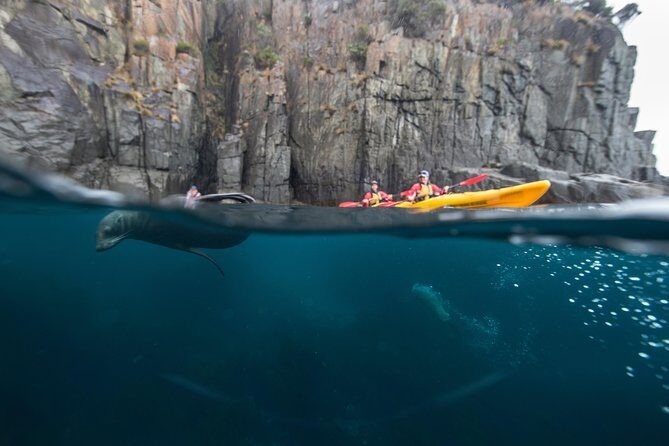 Tasman Peninsula full day kayaking tour - A Day Filled with Dramatic Coastline and Natural Wonders