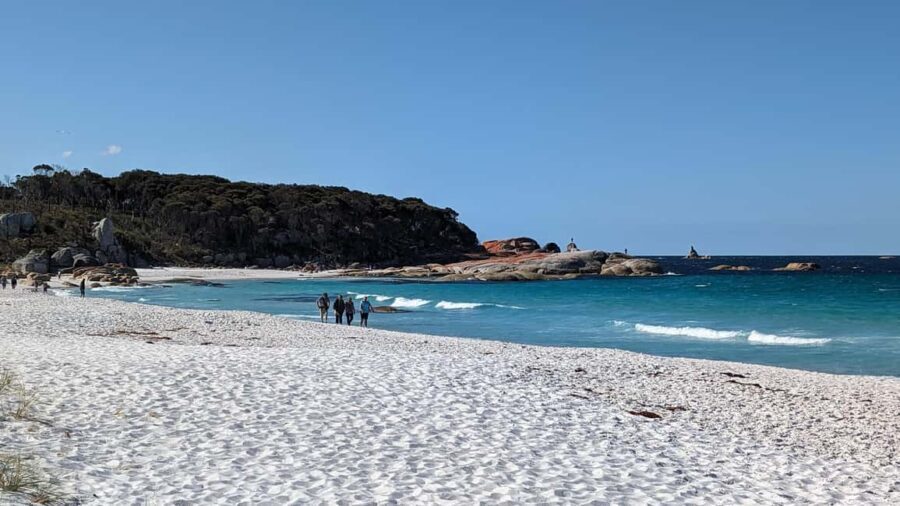 Tasmania: 6-Day Comfort Tour for Wilderness and Wildlife - What to Expect on This Tour