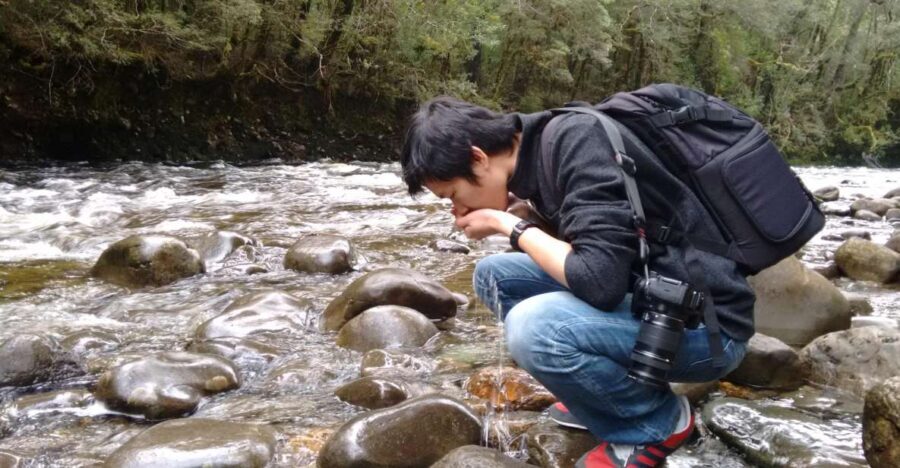 Tasmania: Wilderness and Wildlife Guided 6-Day Tour - Day-by-Day Breakdown