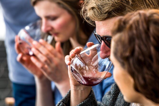 Tasmanian Premium Wine Tour with Tasmanian Cheese Platter - Practical Details and Tips