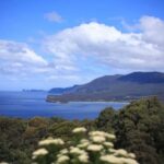 TasmaniaTasman Peninsula Full-Day Escapes from Hobart - Local Food, Shops, and Island Vibes